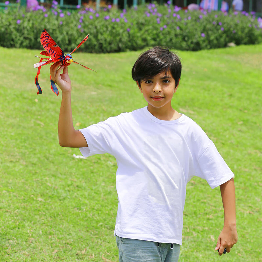 Go Go Bird Flying Dragon - Smart RC Bird Toy